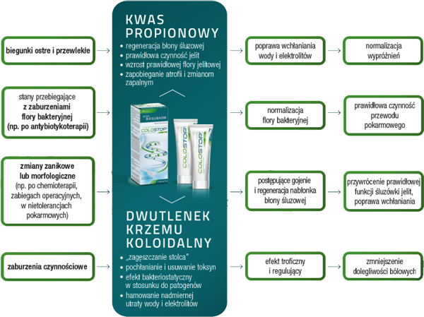 Colostop, żel o smaku pomarańczowym, 2 tuby po 75 g: ulotka, cena i ...